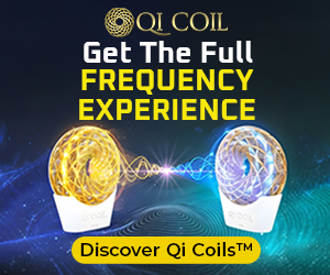 Qicoil Webapp